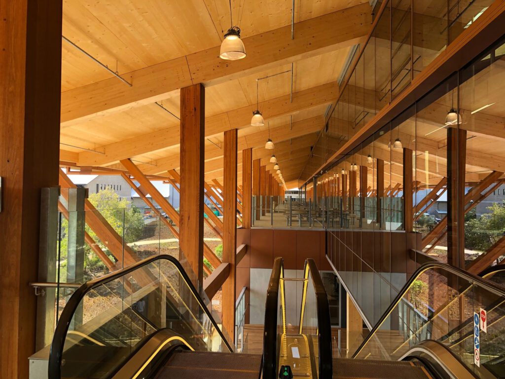 Mass Timber Design & Construction | Constructive PD