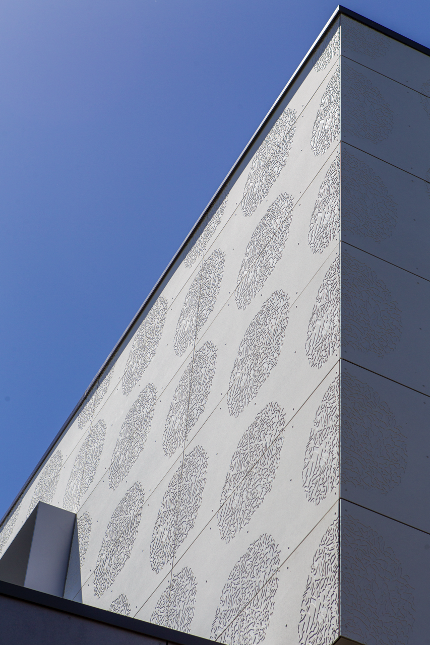 Icon - Shenton College Senior High School - Constructive PD